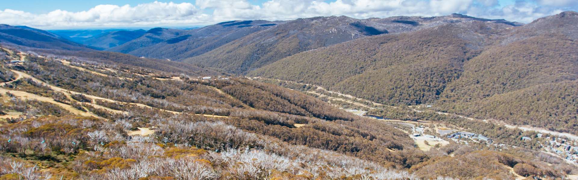 Explore Snowy Mountains, NSW - The Fold: Your Guide to Everything ...