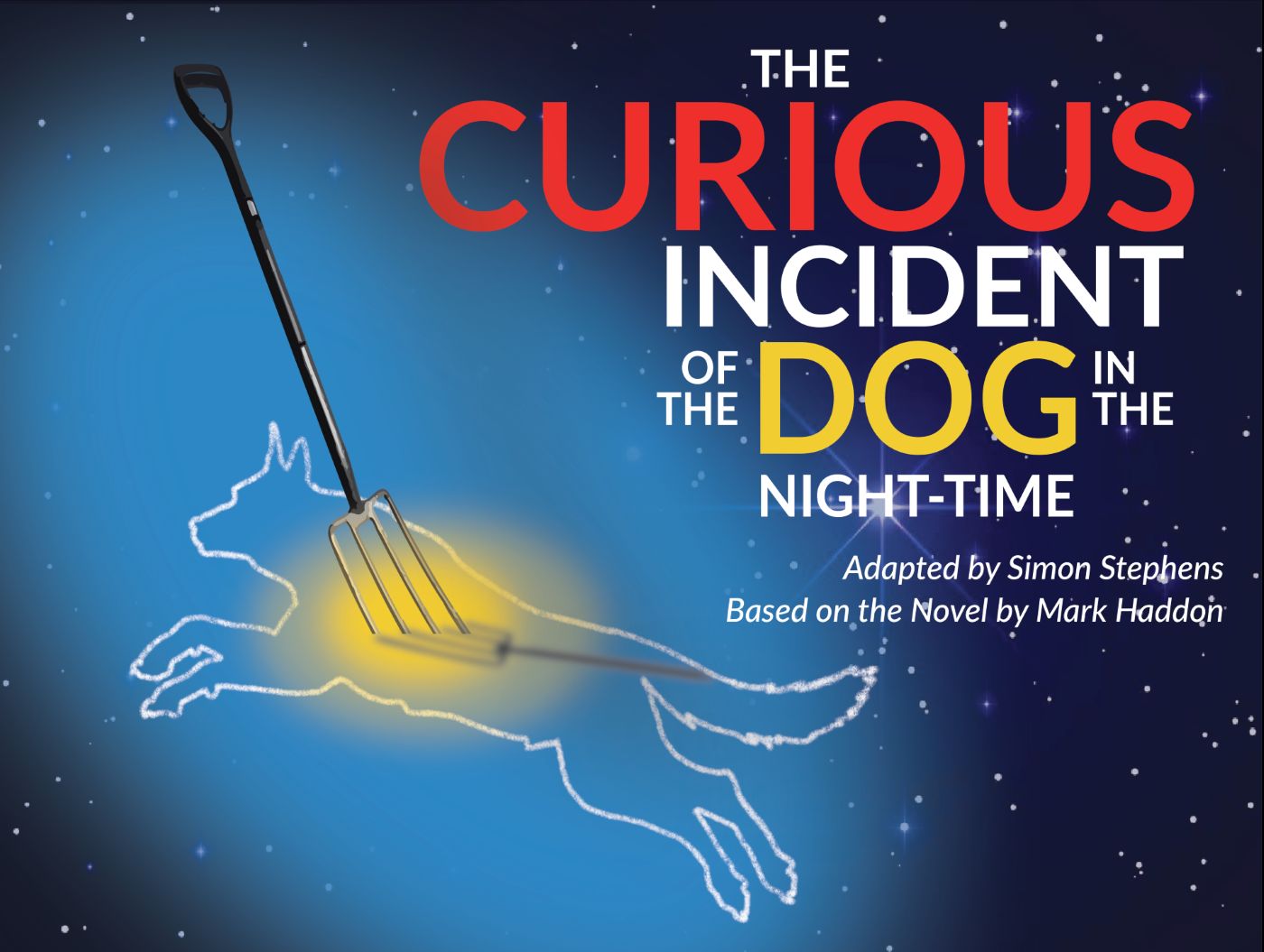 The Curious Incident of the Dog in the Night-time in Gwynneville - The ...