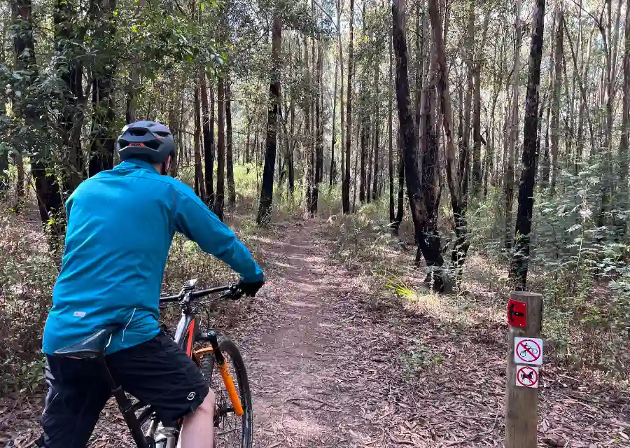 EXPLORE // Wingello State Forest Mountain Biking Trails - - The Fold ...