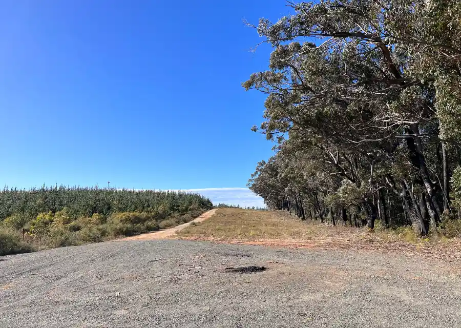 EXPLORE // Wingello State Forest Mountain Biking Trails - - The Fold ...