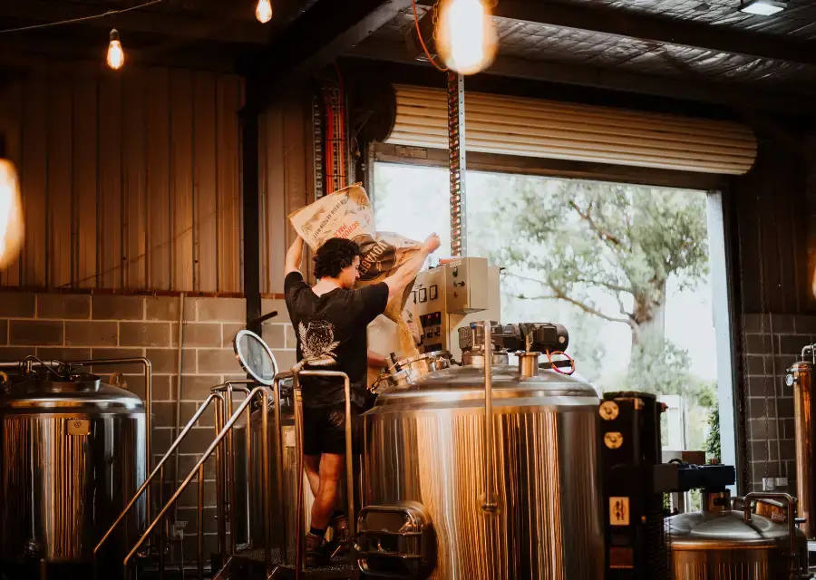 Behind The Scenes With Eden Brewery - - The Fold: Your Guide to ...