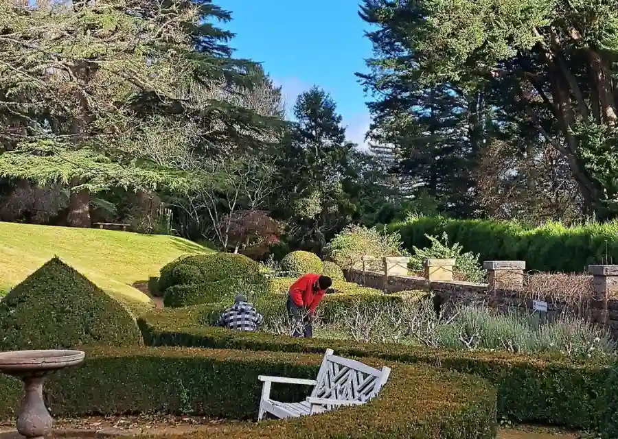 The Essential Autumn Guide For Your Highlands Garden - - The Fold: Your ...