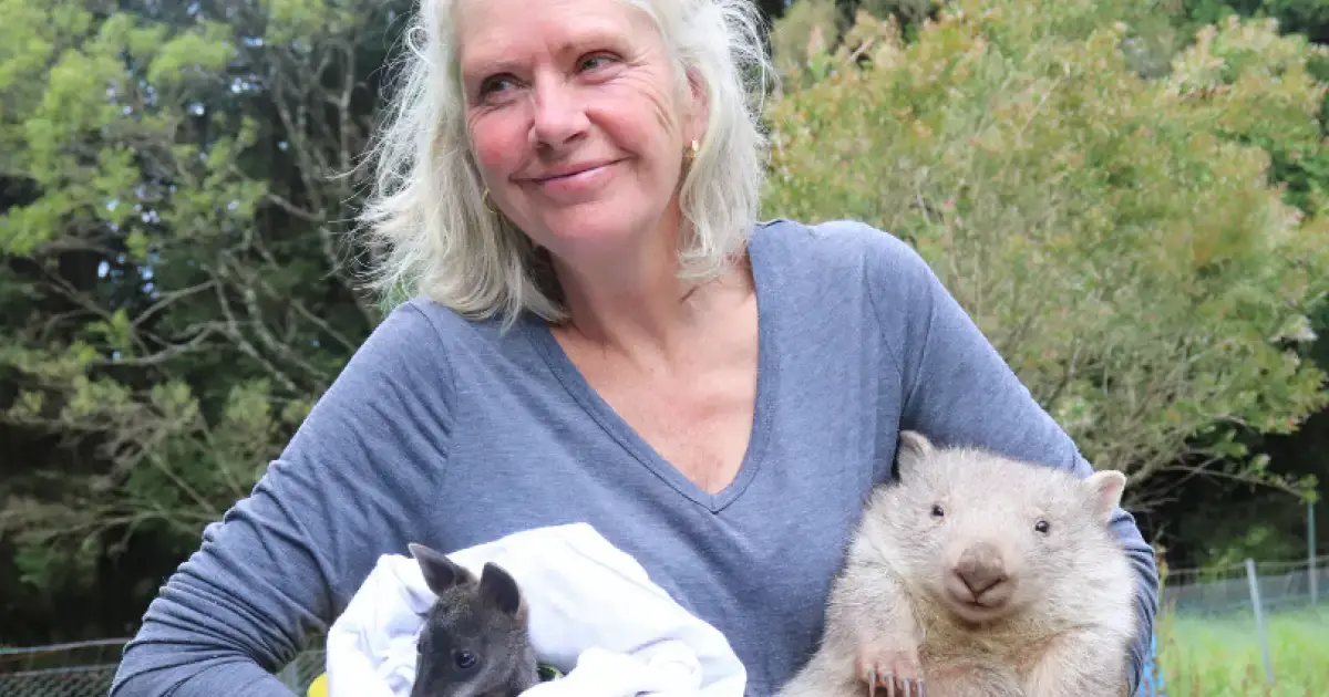 GOOD VIBES // The Rebuilding of Native Wildlife Rescue’s Enclosures for ...